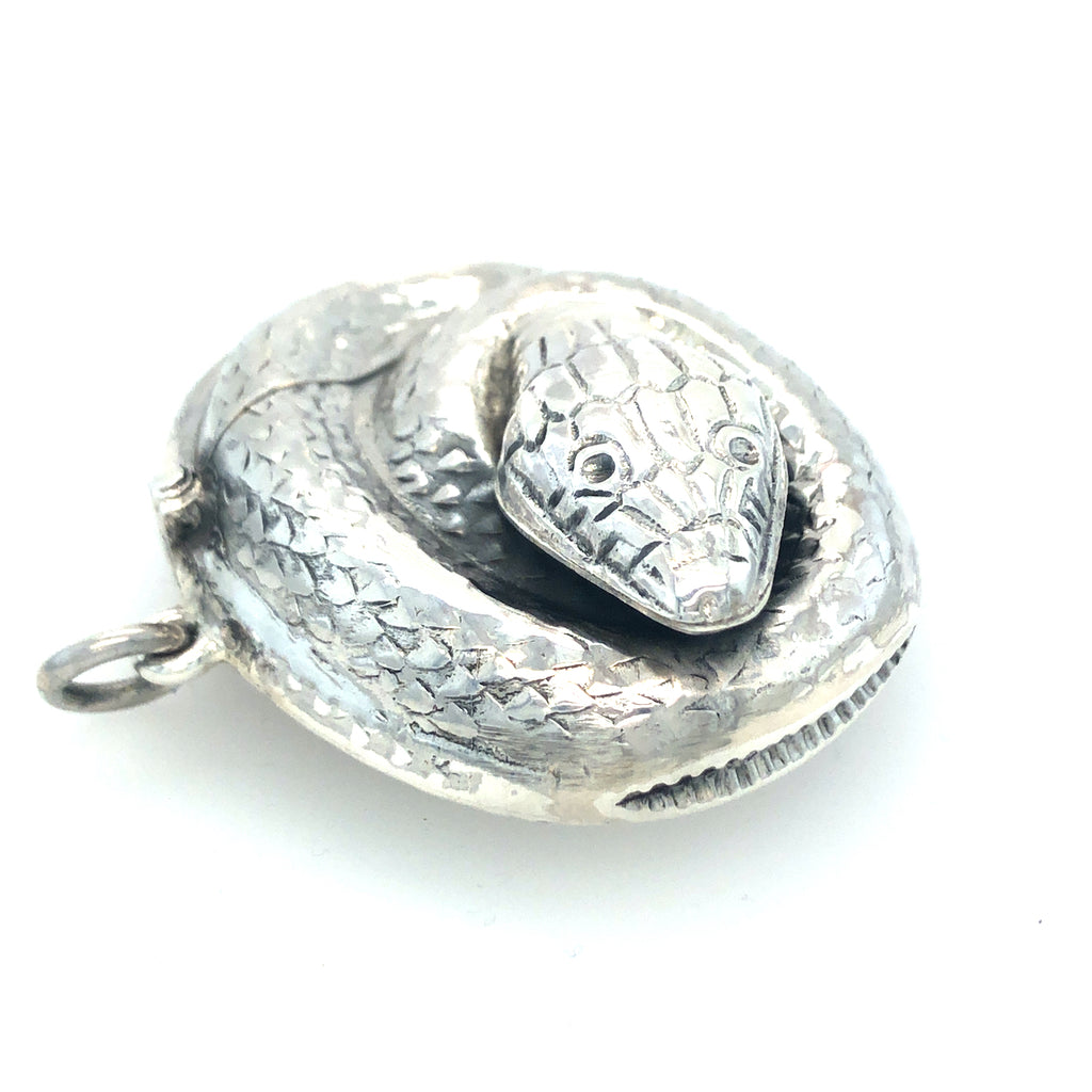 Antique Silver Snake Vesta Case – The Vintage Jewellery Company